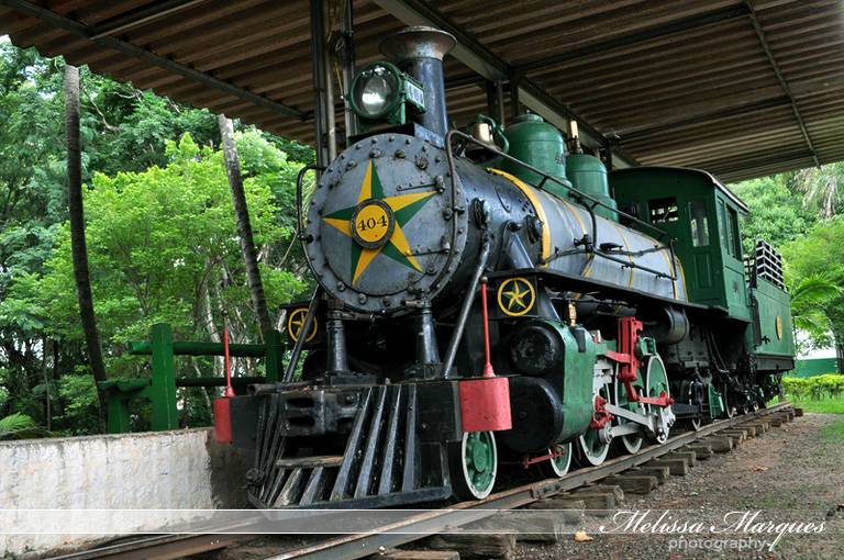 Town in the interior of São Paulo has its own sandwich law, giant zoo ...