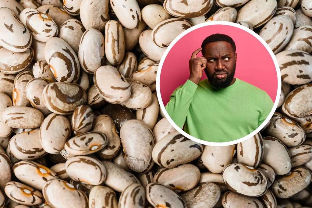 Carioca beans are from São Paulo! Learn about the São Paulo origin of ...