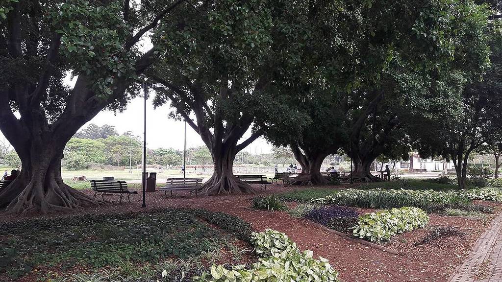 Parque pouco conhecido da Zona Norte já recebeu corridas de cavalo — e ...