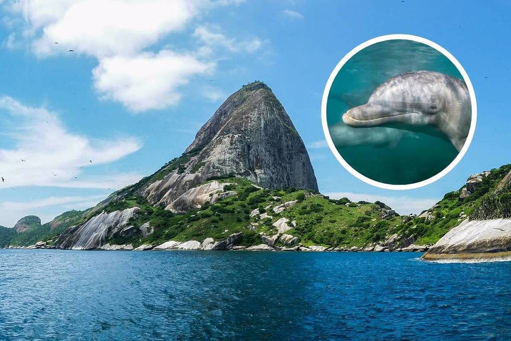 Forget the Caribbean: the "secret" archipelago off the coast of São ...