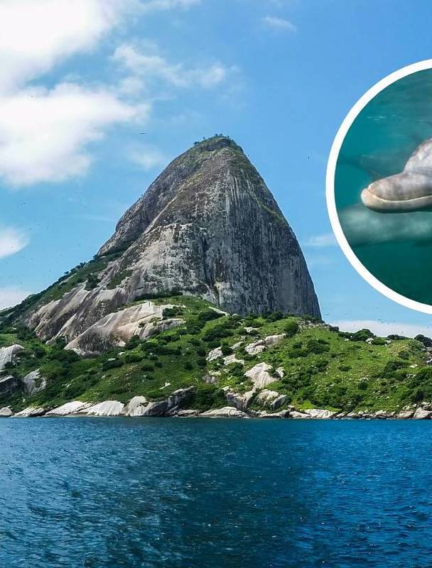 Family Outings In SP: An Infallible Guide To Rolling For Parents And ...