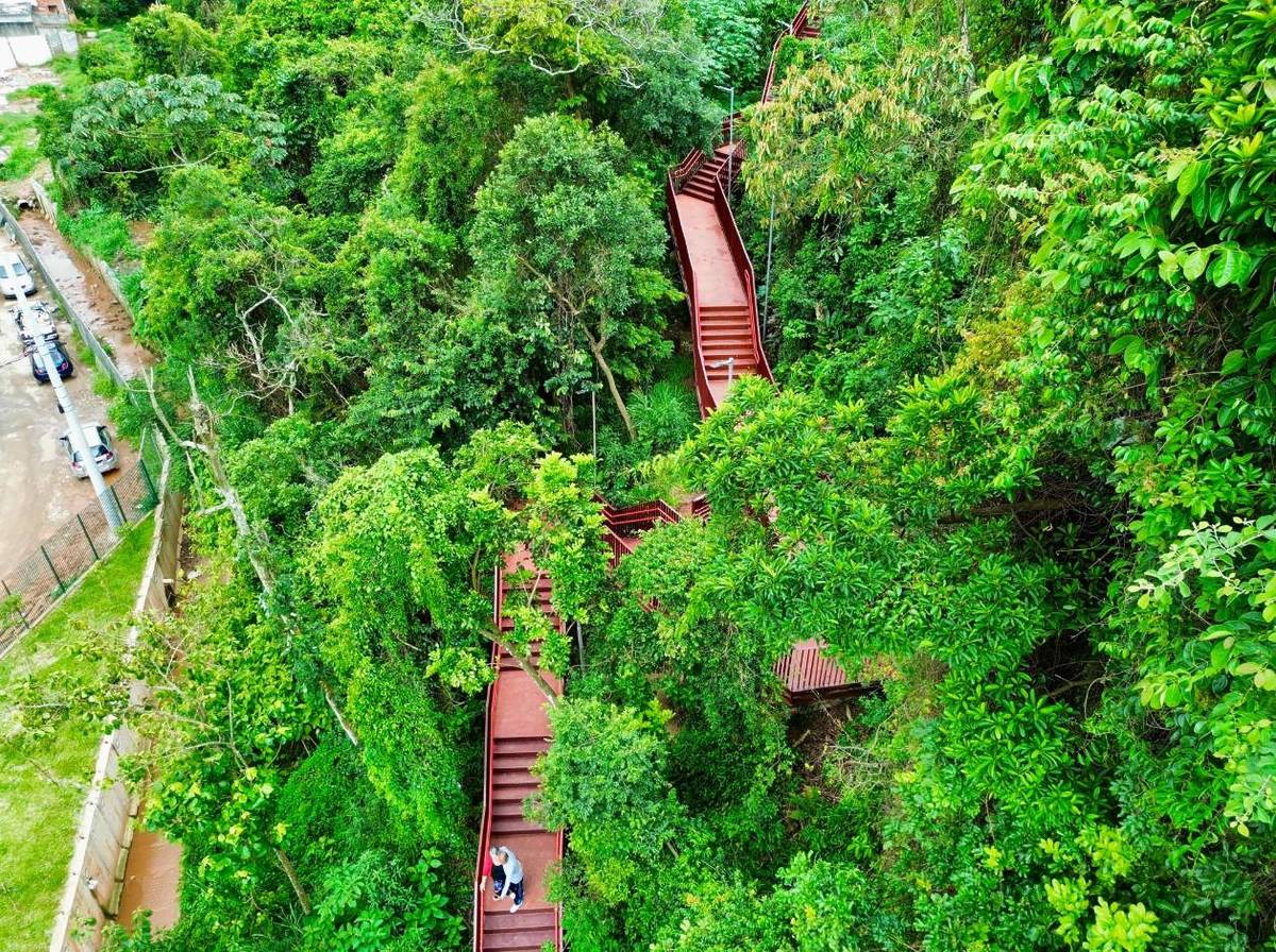 Neither Ibirapuera nor Villa-Lobos: São Paulo's new green giant has ...