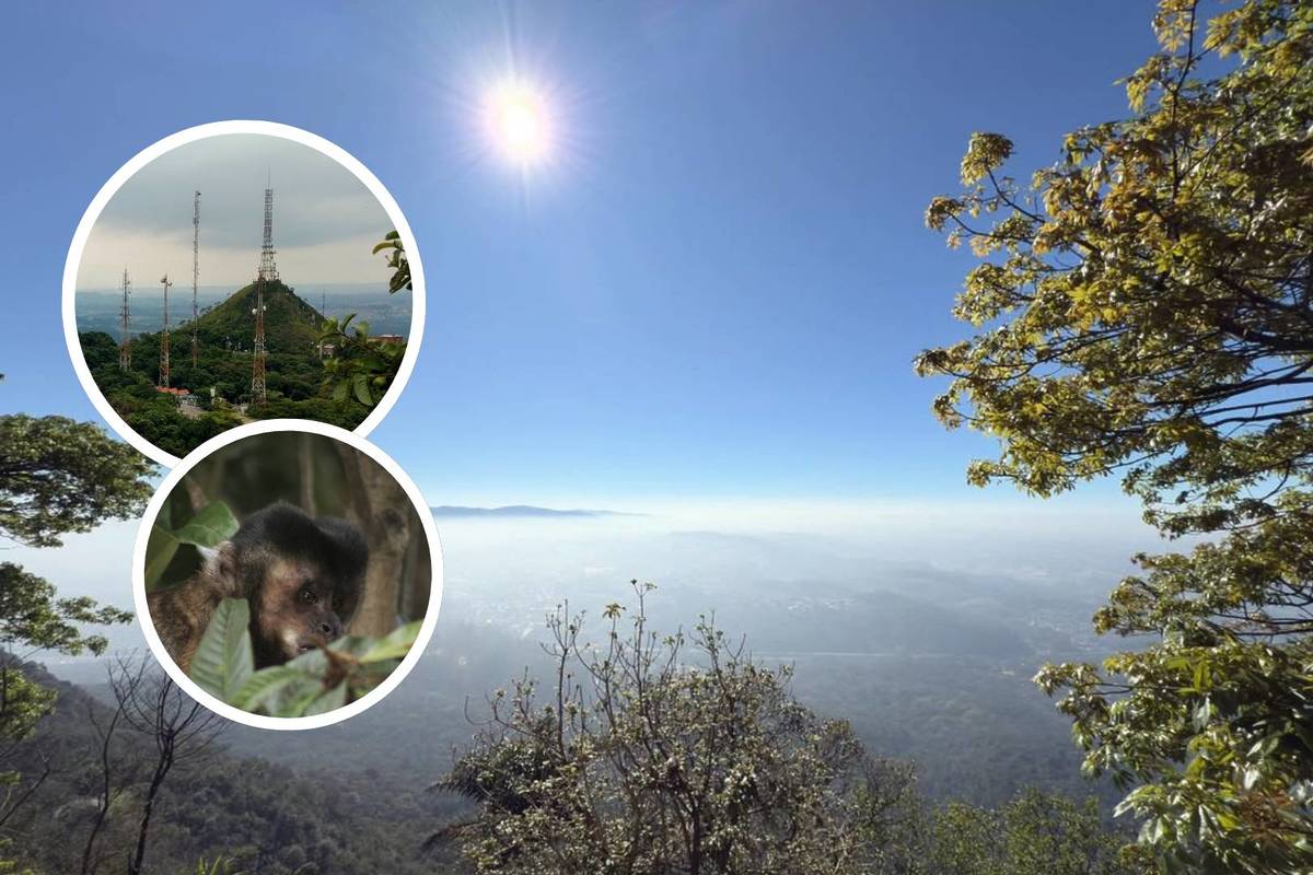 This UNESCO World Heritage Site in São Paulo hides a mansion from 1530 ...