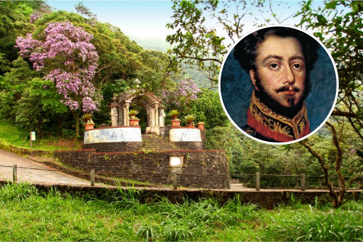 The road that changed Brazil: the 250-year-old paved trail in the ABC ...