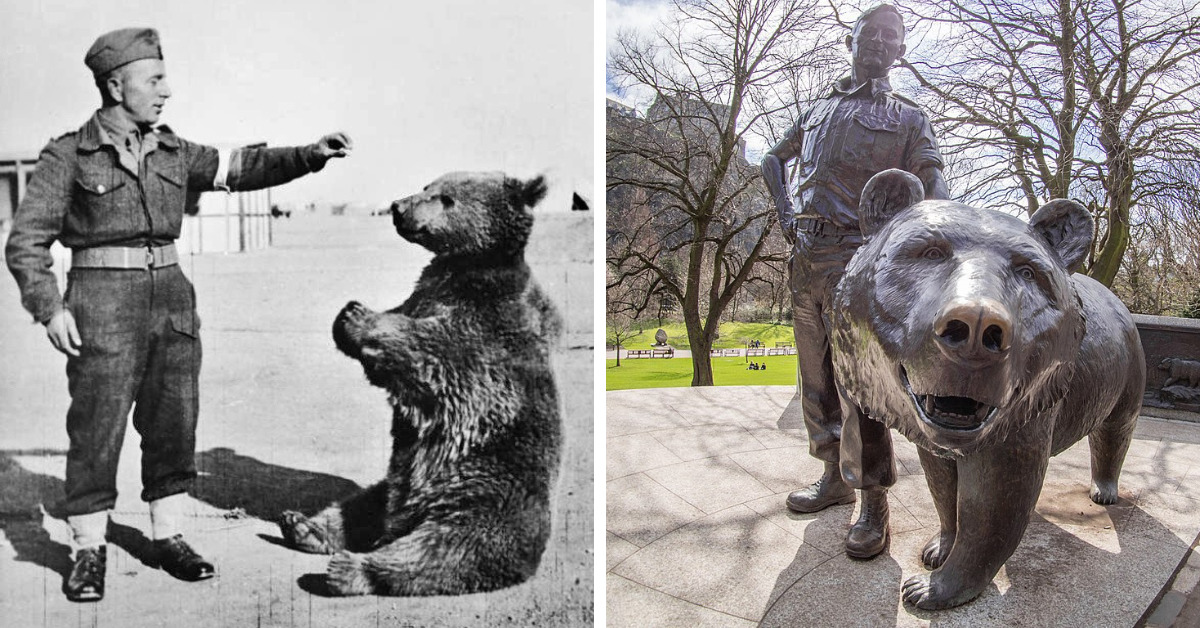 Wojtek: The Bear Who Served In The Polish Army And Retired At The ...