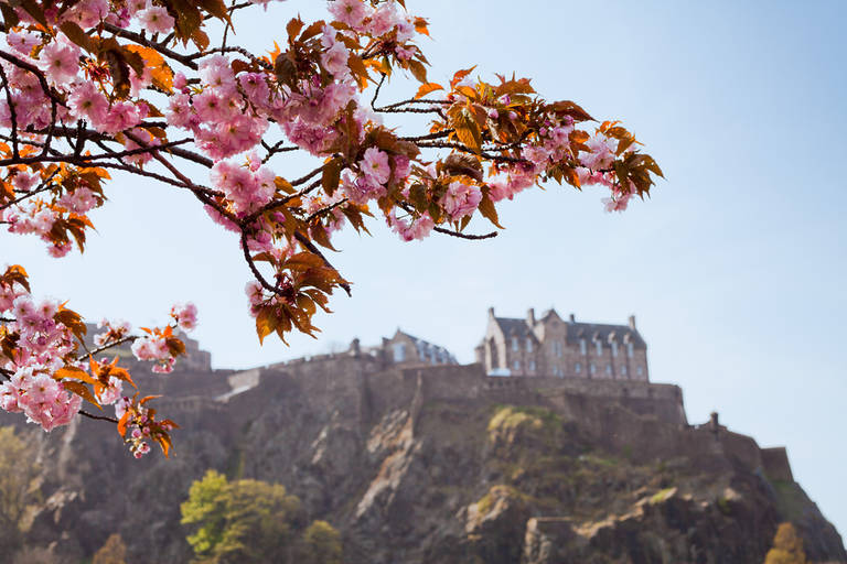 6 Of The Very Best Walks In Edinburgh To Spot Cherry Blossoms - Secret ...