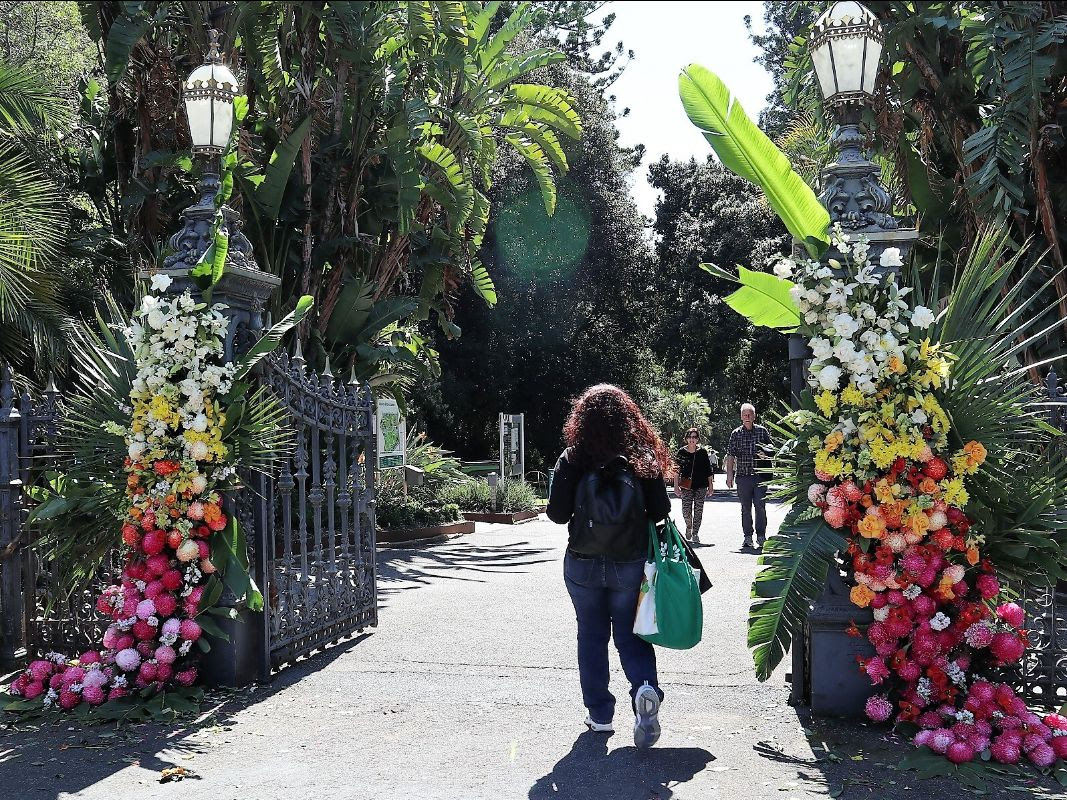 Your Guide To The Botanic Gardens In October - Secret Adelaide