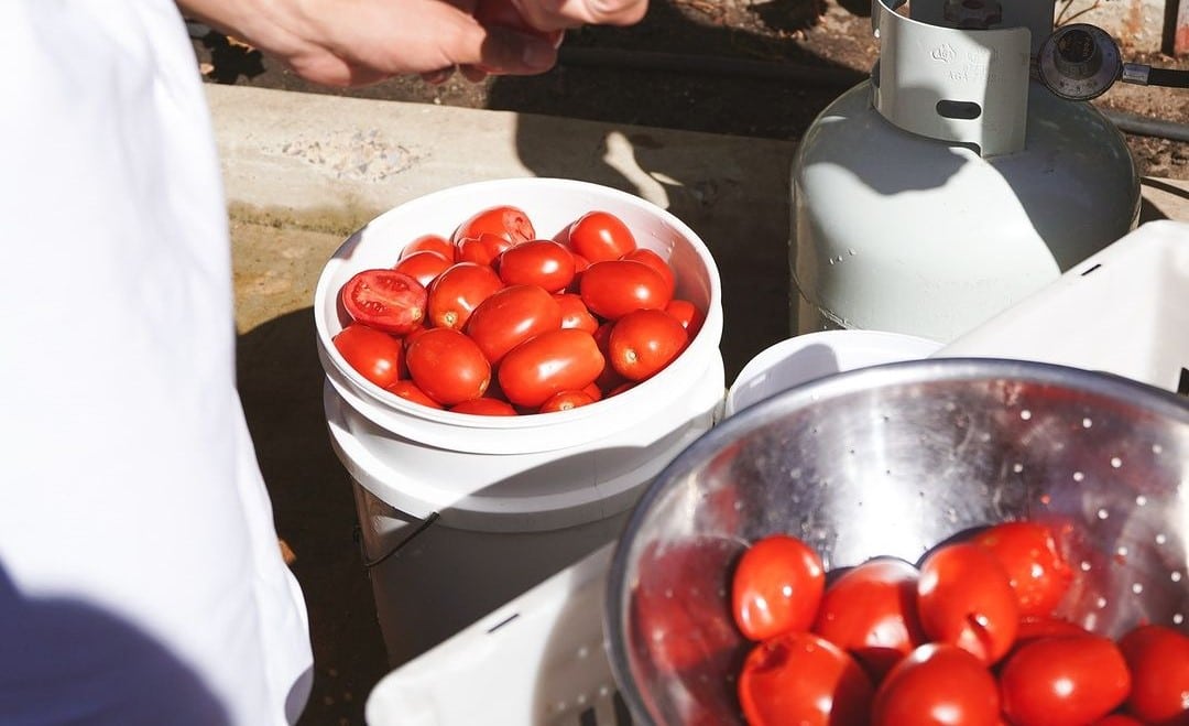 Mercato To Host Their Annual Passata Day In February 2023