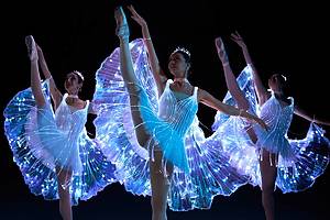 Ballet of Lights: Cinderella Dance Show in Adelaide