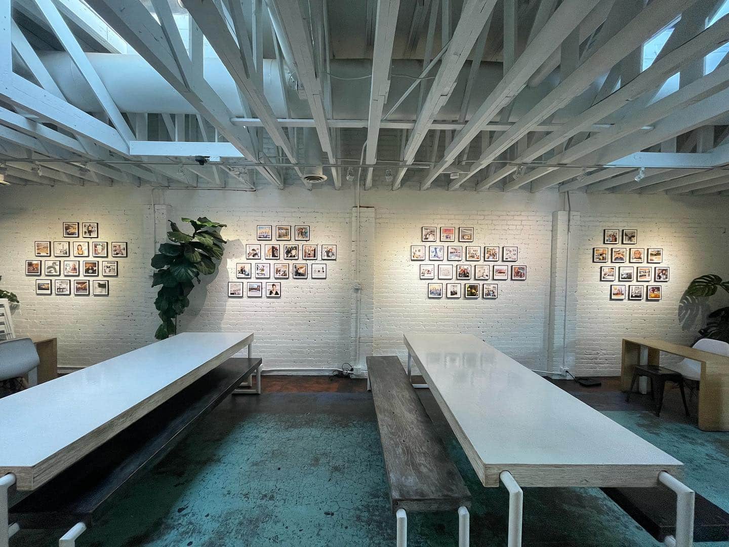 11 Cute Coffee Shops In Albuquerque For Your Caffeine Fix!