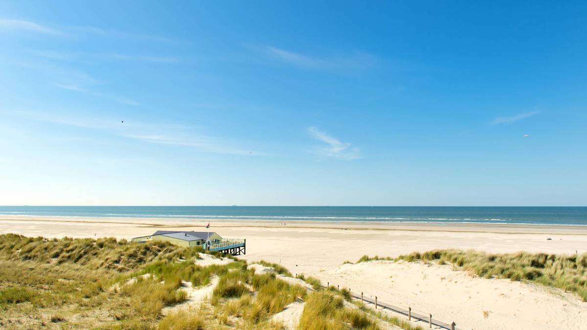 Beaches Near Amsterdam To Jump Right Into Summer
