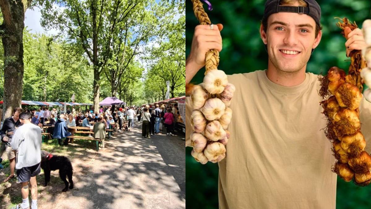 Pure Market: Don't Miss This Sunday Edition!