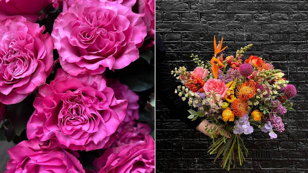 Florists in Amsterdam: Where to Find The Best Bouquets In Town