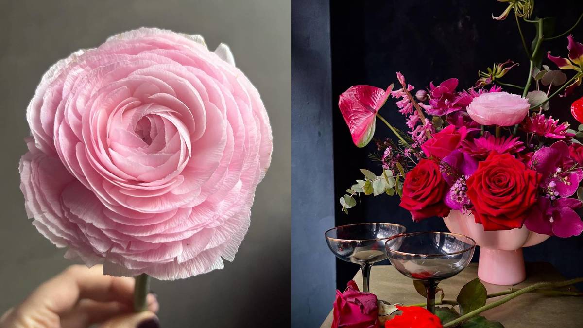 Fleuristes à Amsterdam : Où trouver les meilleurs bouquets de la ville