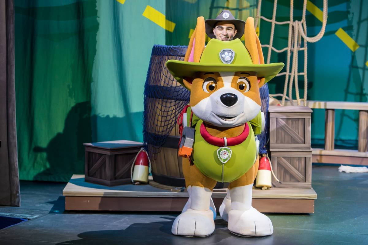 PAW Patrol Live! Show Netherlands Tour 2026
