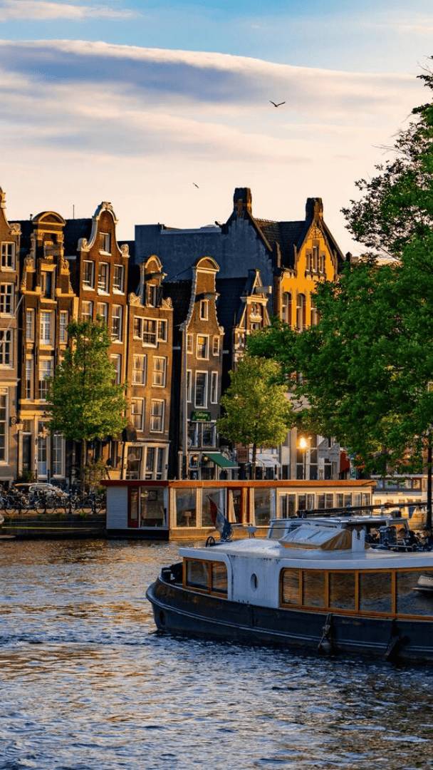 Watching the 2026 World Cup in Amsterdam? 10 of the best Oranje bars