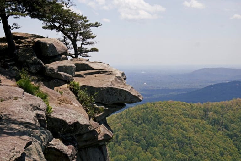 11 Hiking Trails In & Around Atlanta That You've Gotta Check Out