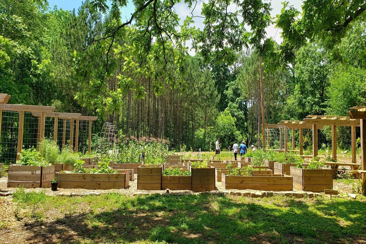 Atlanta's Home To The Nation’s Largest Free Food Forest Tackling Food ...