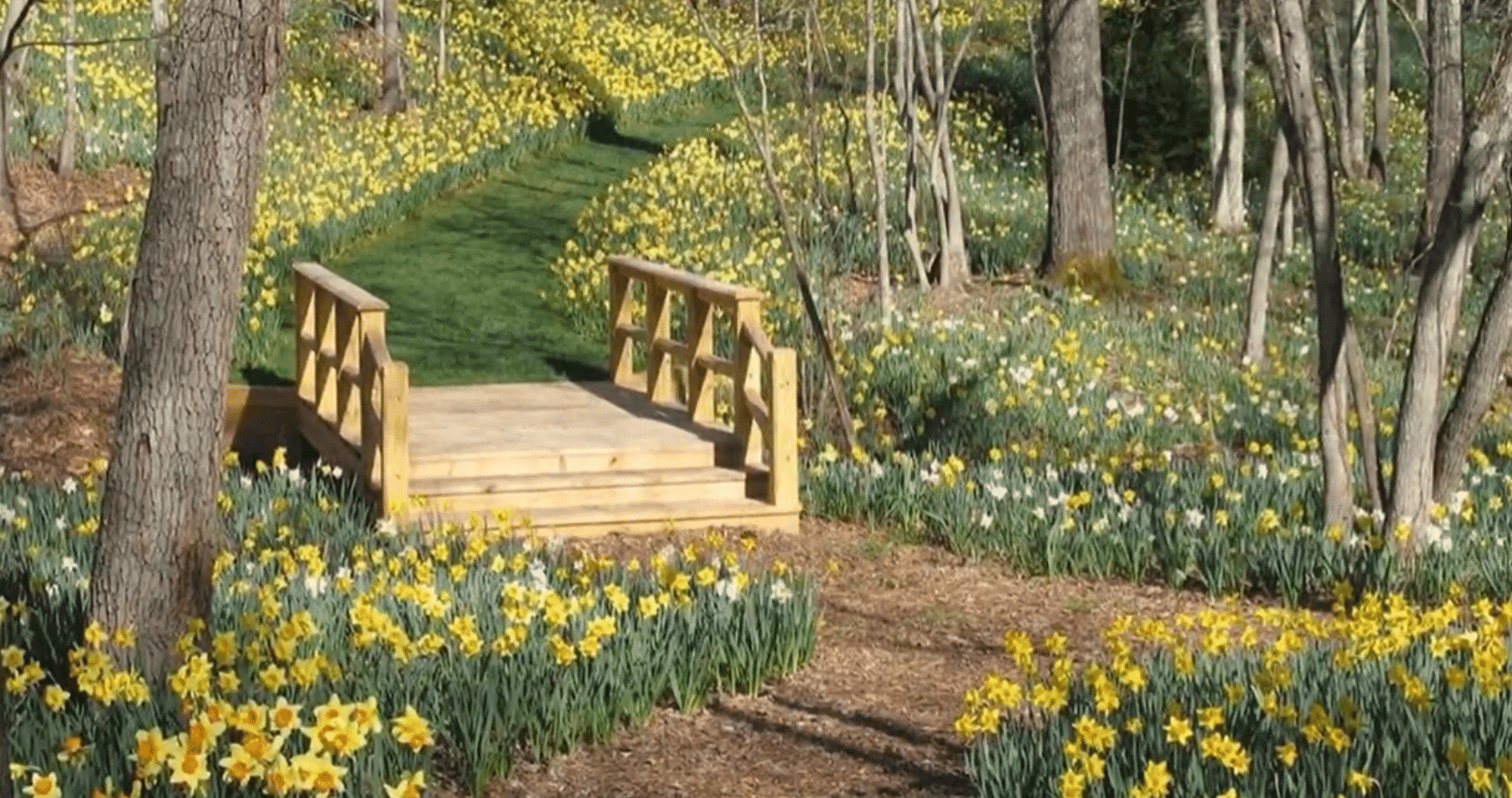 Thousands Of Tulips Are In Full Bloom At This Flower Festival In North ...