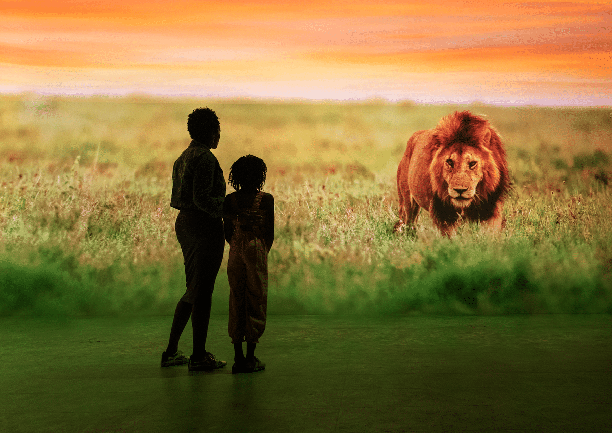 12 Fun Things To Do In Atlanta On A Rainy Day