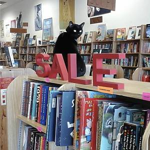 10 Adorable Local Bookstores In Atlanta To Check Out For Your Next Page ...