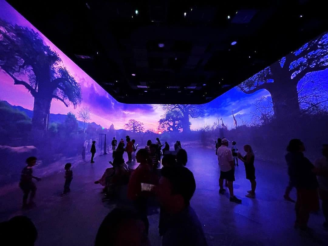 Everything You Need To Know About Atlanta's Wildest Attraction ...