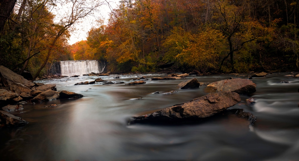 7 Places In Atlanta That Are Perfect For Enjoying The Fall Foliage