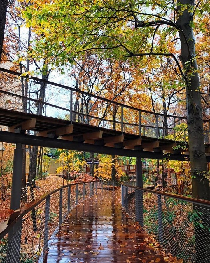 7 Perfect Places In Atlanta To Enjoy The Fall Foliage — A Guide To The ...
