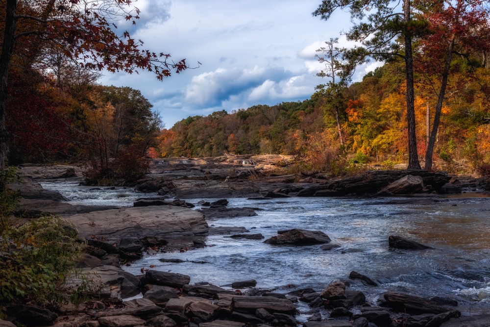 7 Perfect Places In Atlanta To Enjoy The Fall Foliage — A Guide To The ...