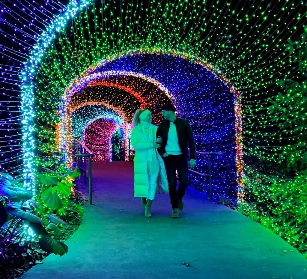 9 Dazzling Holiday Light Displays In Atlanta To Check Out For The Most ...