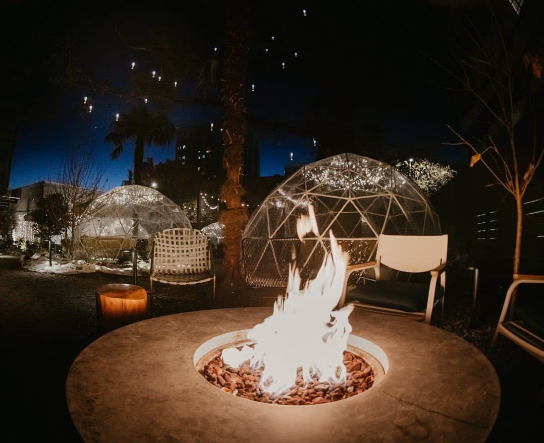10 Hotels In Atlanta With The Absolute Best Holiday Decorations