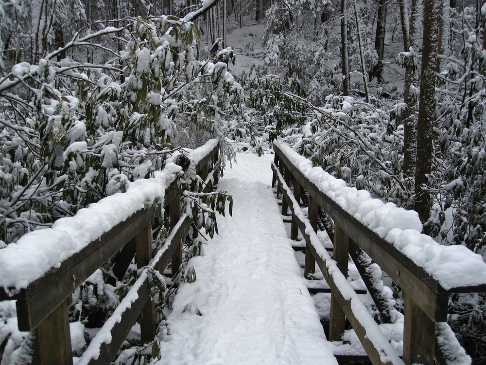 8 Breathtaking Winter Hikes In Georgia You Must Take Before The Season Ends