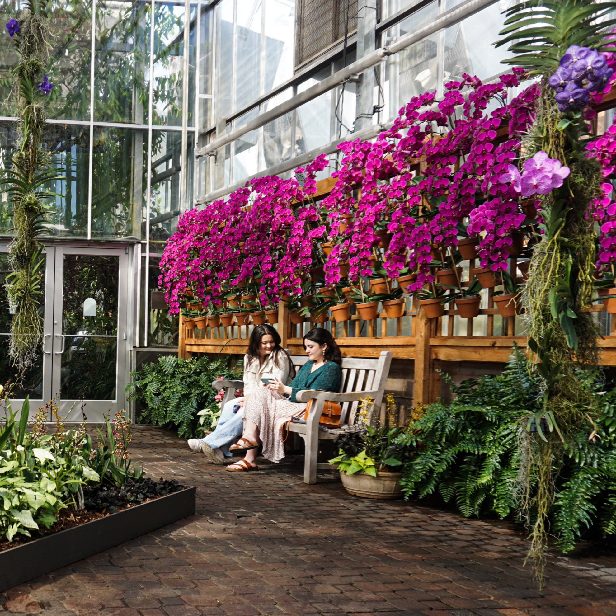 Murals & Flowers Collide At This Stunning Orchid Exhibit In Atlanta