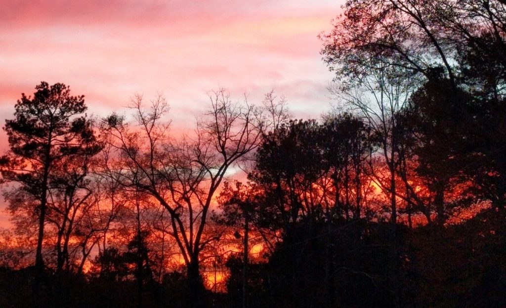 The 10 Best Spots To Watch The Sunset In Atlanta