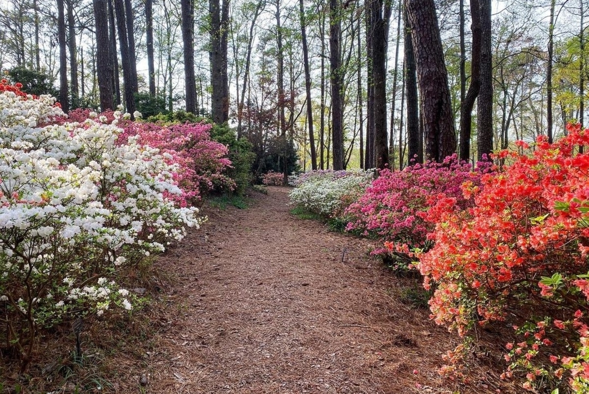 Callaway Gardens' Floral Fest Is The Ultimate Spring Destination