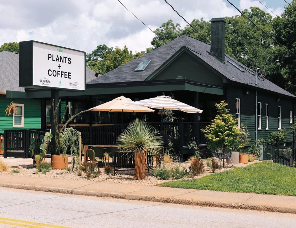 Stock Up On Plants At One Of Atlanta's Most Unique Coffeehouses