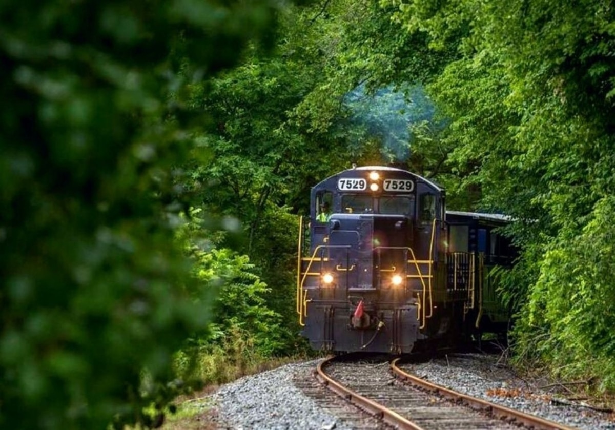 Hop Aboard This Historic Railway For A Nostalgic Trip Through North Georgia
