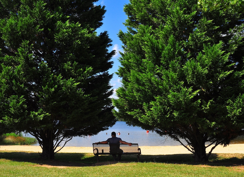This Gorgeous Public Beach Is Only An Hour's Drive Away From Atlanta