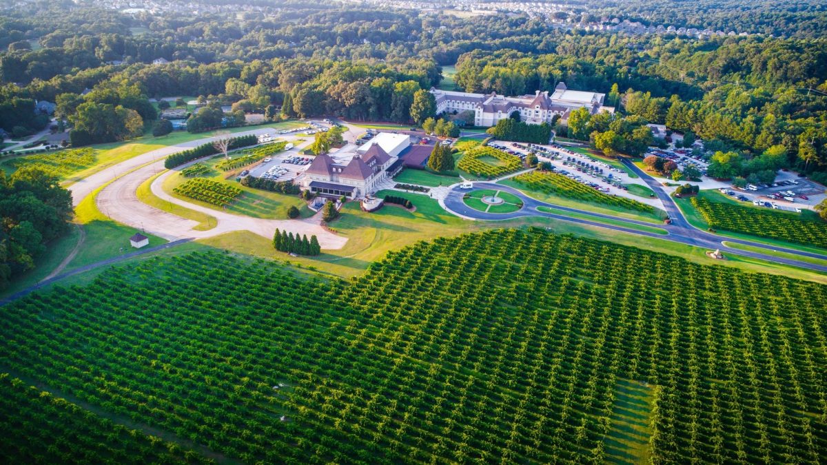 6 Must Experience Georgia Wineries With Breathtaking Views