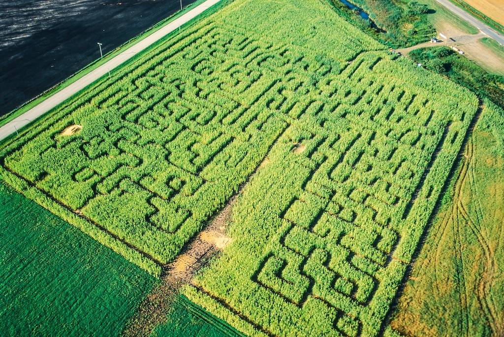 10 Mind-Blowing Corn Mazes To Check Out Near Atlanta This Fall