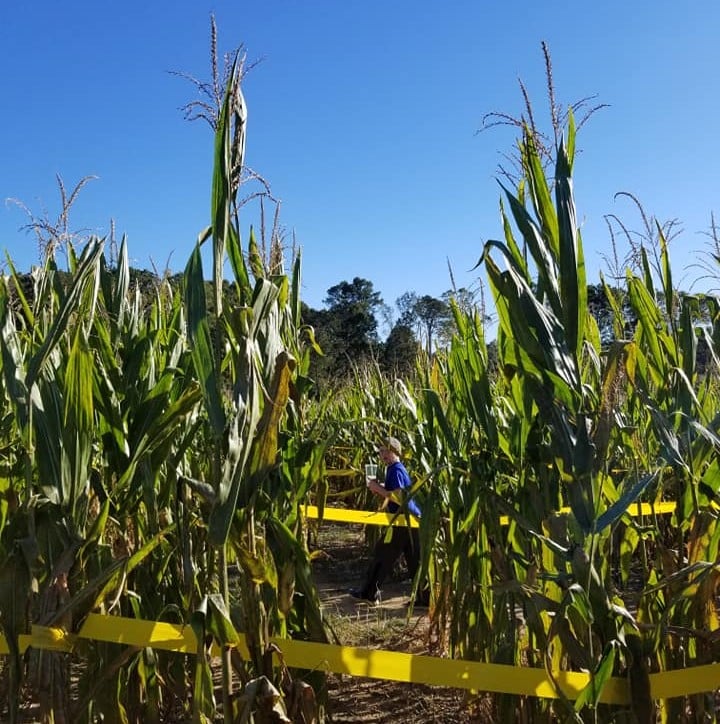 10 Best Corn Mazes To Visit This Fall Near Atlanta