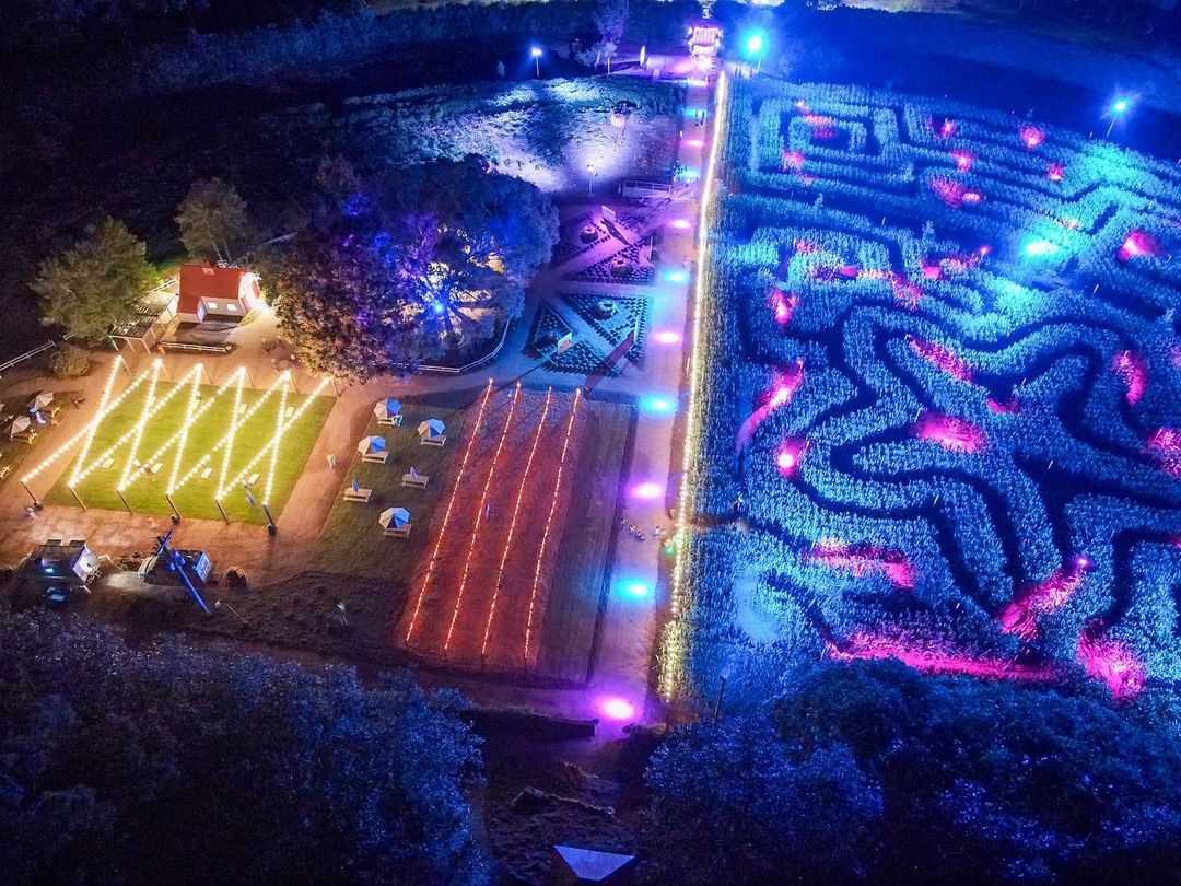 This Enchanting Pumpkin Festival Just 1.5 Hours From Atlanta Is Home To ...