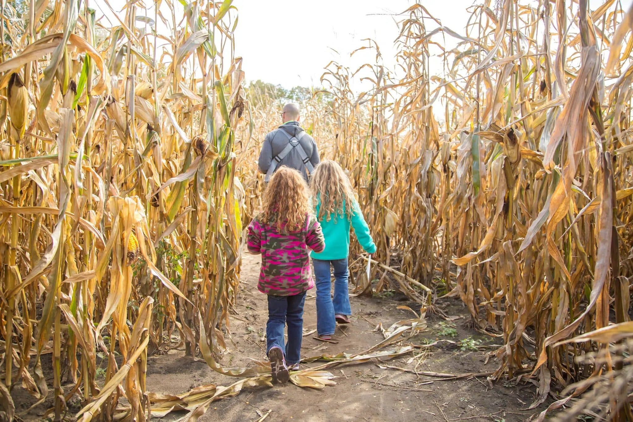 9 Incredible Corn Mazes To Explore Near Atlanta This Fall