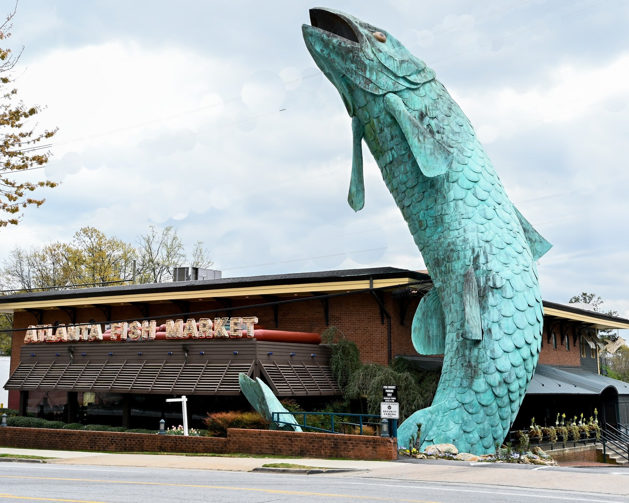 9 Delicious Seafood Restaurants To Check Out In Atlanta