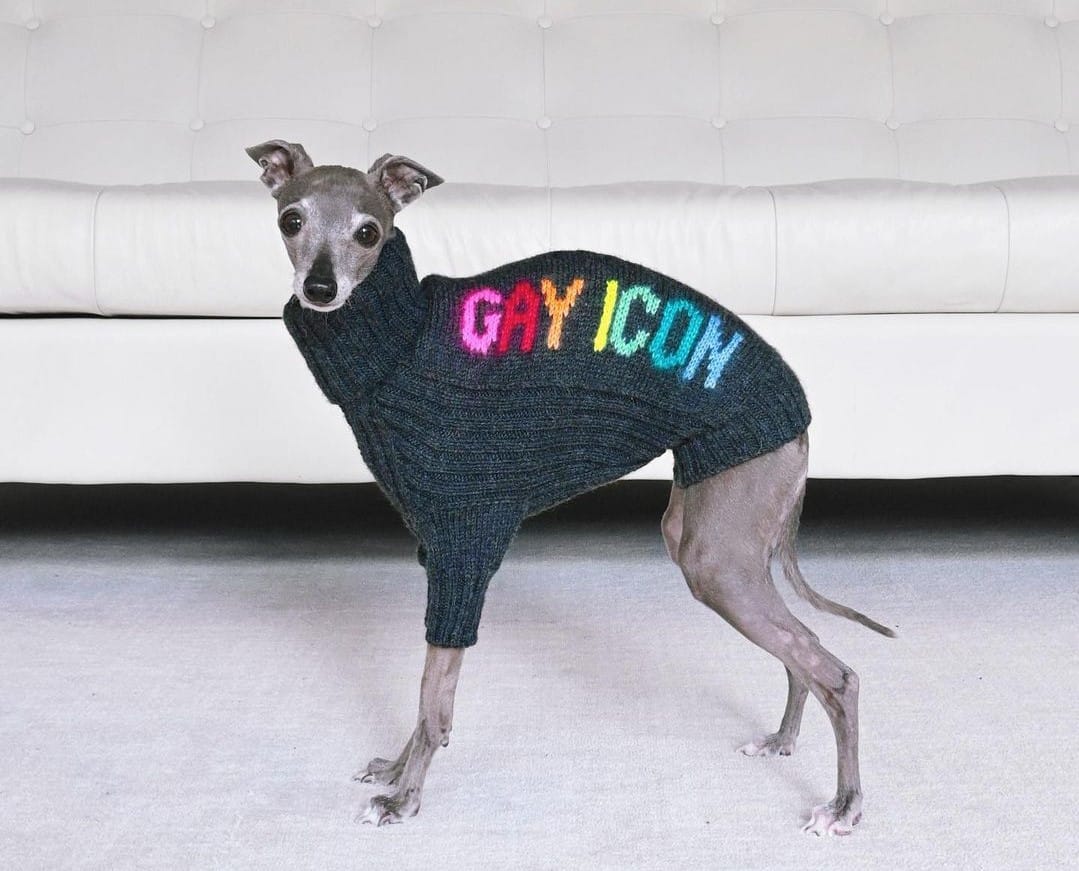 Witness Tika The Iggy's Gorgeous Gown At This Must-See Fashion Exhibit ...