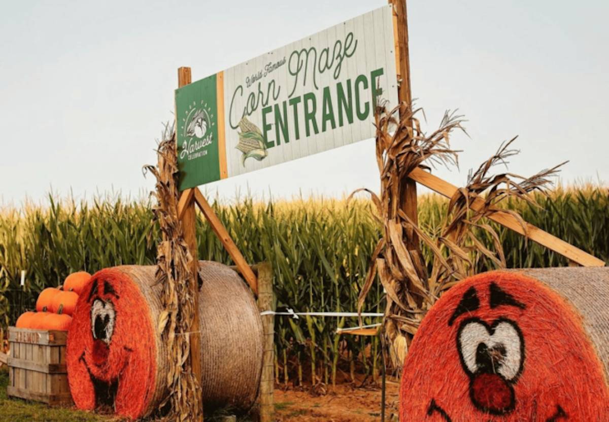 9 Incredible Corn Mazes To Explore Near Atlanta This Fall