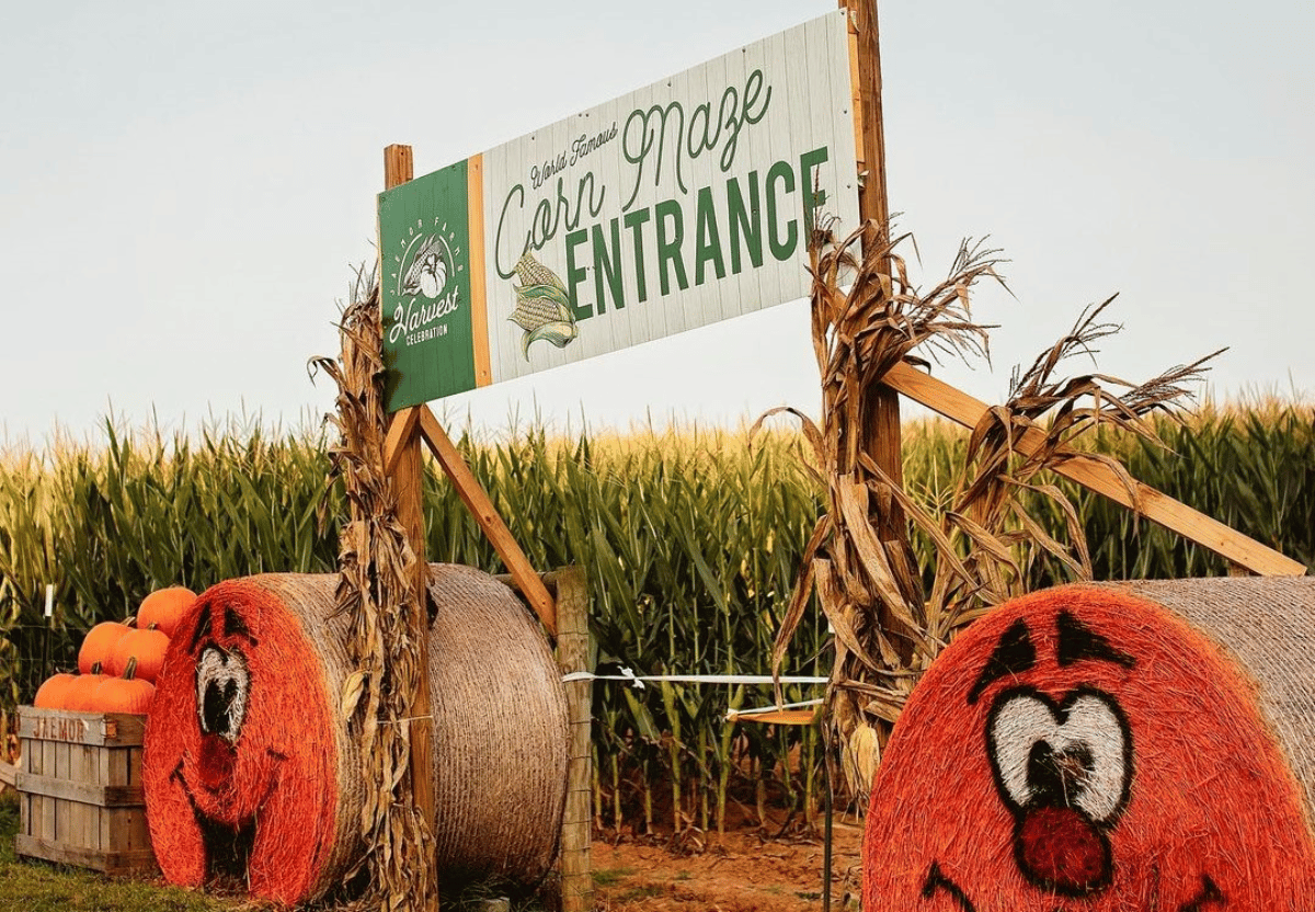 10 Best Corn Mazes To Visit This Fall Near Atlanta