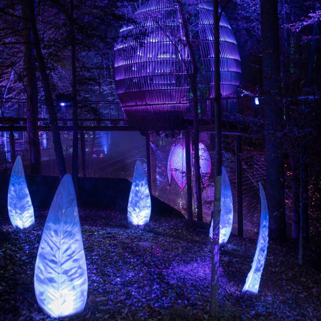 9 Dazzling Holiday Light Displays In Atlanta To Check Out For The Most ...