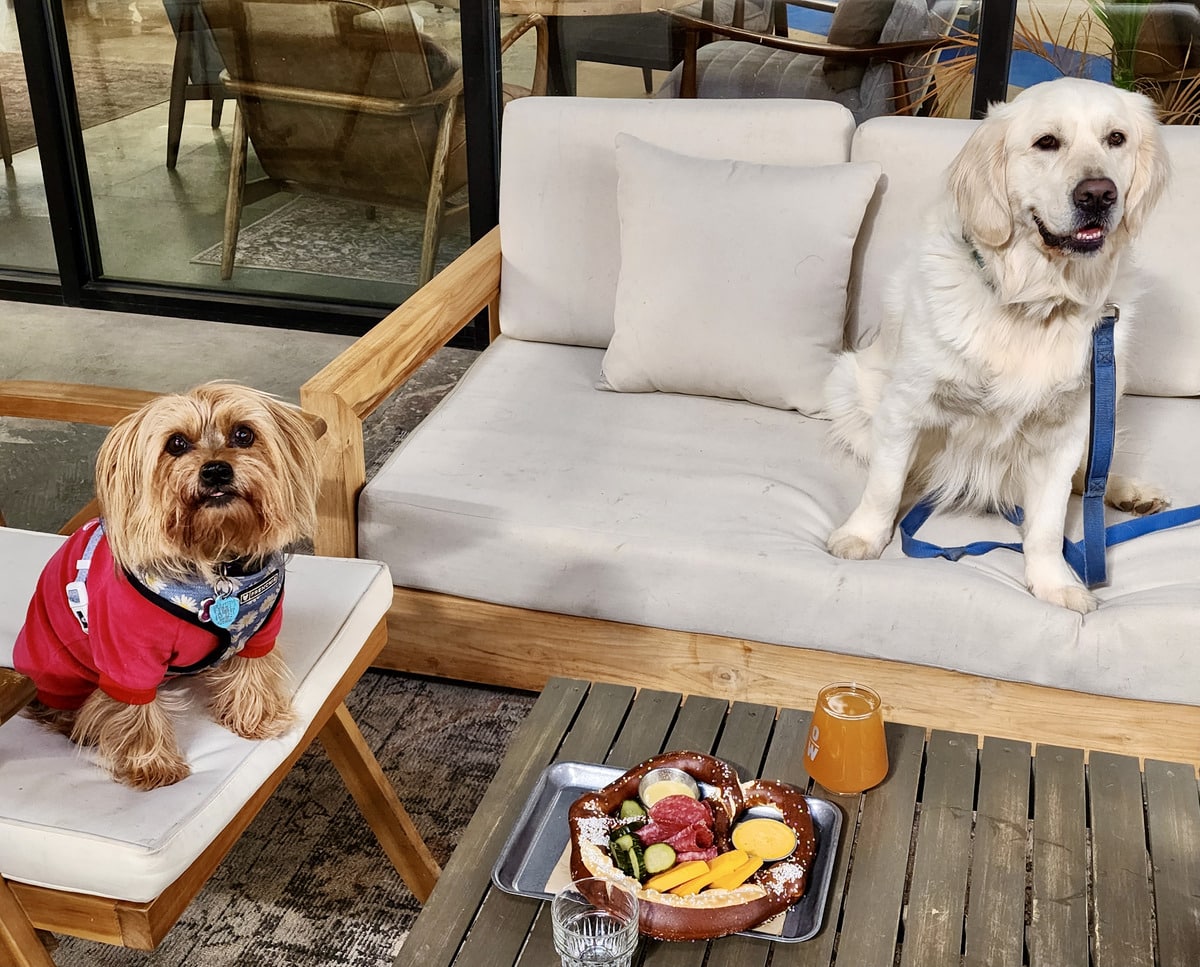 Take Your Doggie On This Restaurant Crawl On The BeltLine
