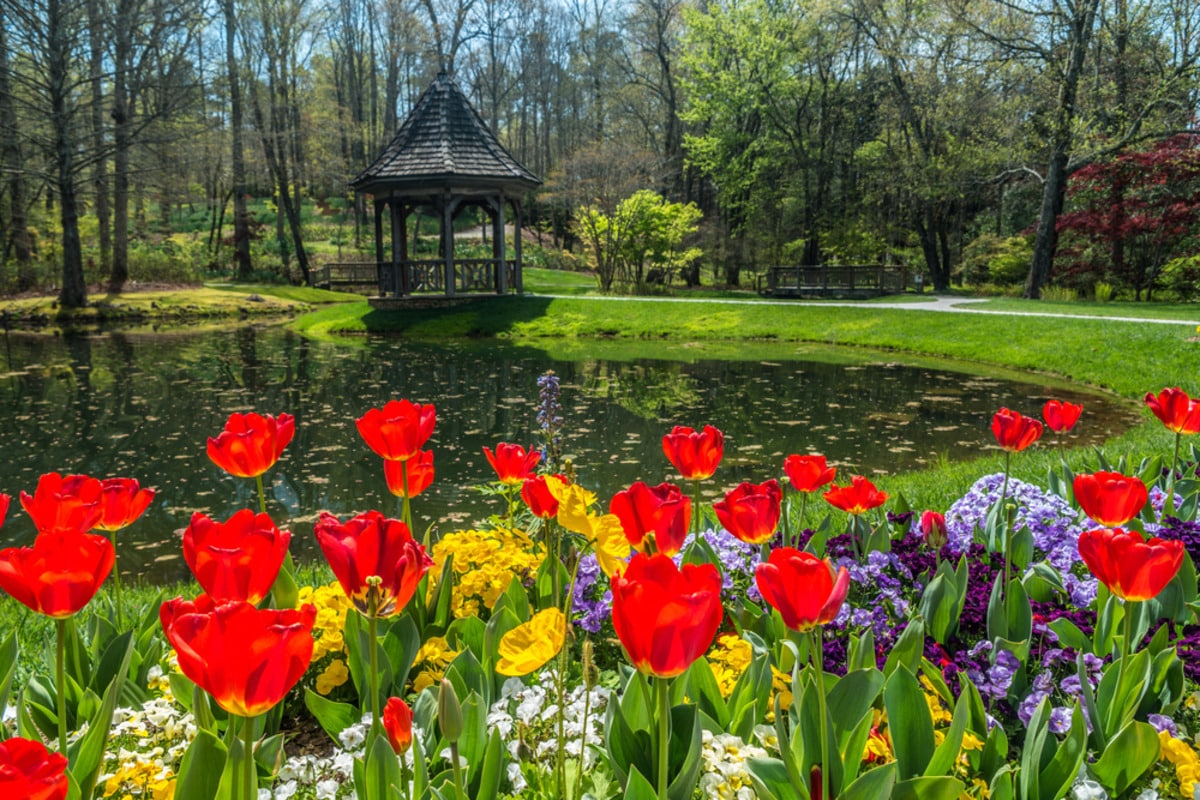 Ultimate Spring Bucket List: 21 Things To Do In Atlanta This Spring
